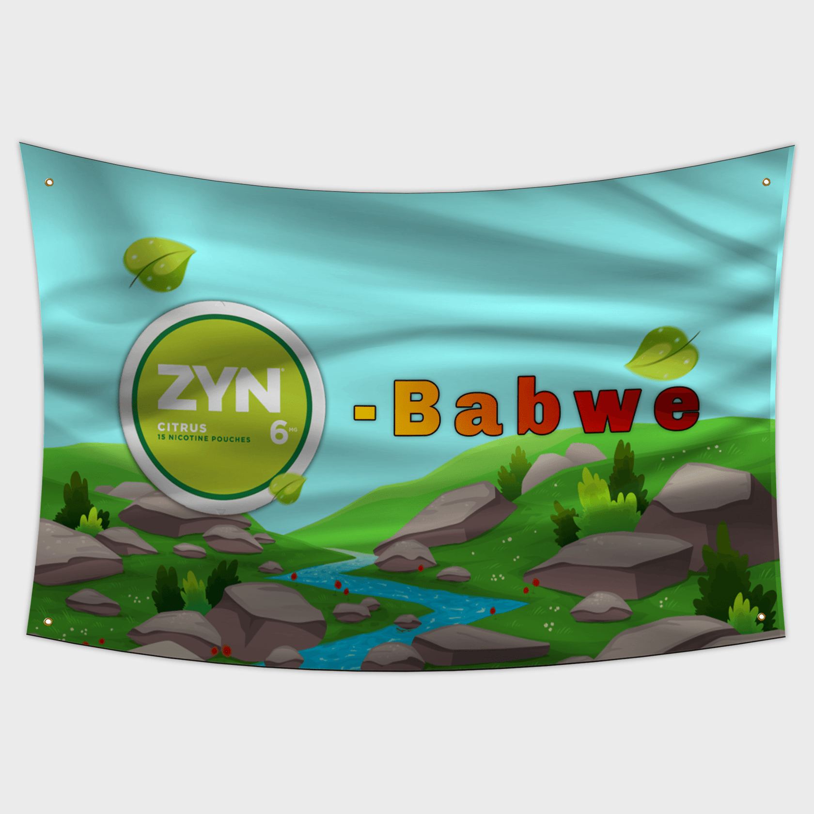 Zyn-babwe | Zyn Flag Funny For Your Room - Dorm Dolphin